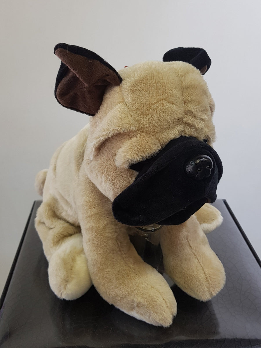 PERRO TEDDY DE PELUCHE – Regala Flores Jamessonii
